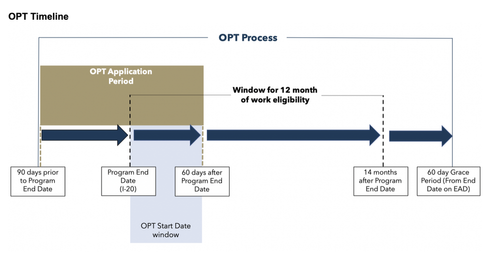 How to avoid OPT Reject? OPT Step-by-step Application Instruction How to avoid OPT Reject? OPT Step-by-step Application Instruction